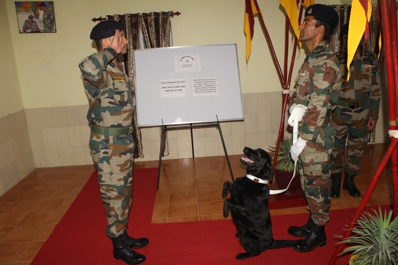 Indian Army Dogs Vida and Sophie get Chief of Army Staff 'Commendation ...