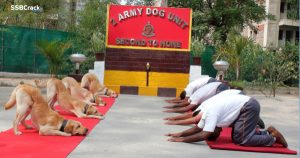 10 Facts about the Indian Army's Dog Unit