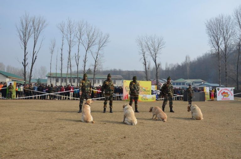 10 Facts about the Indian Army's Dog Unit