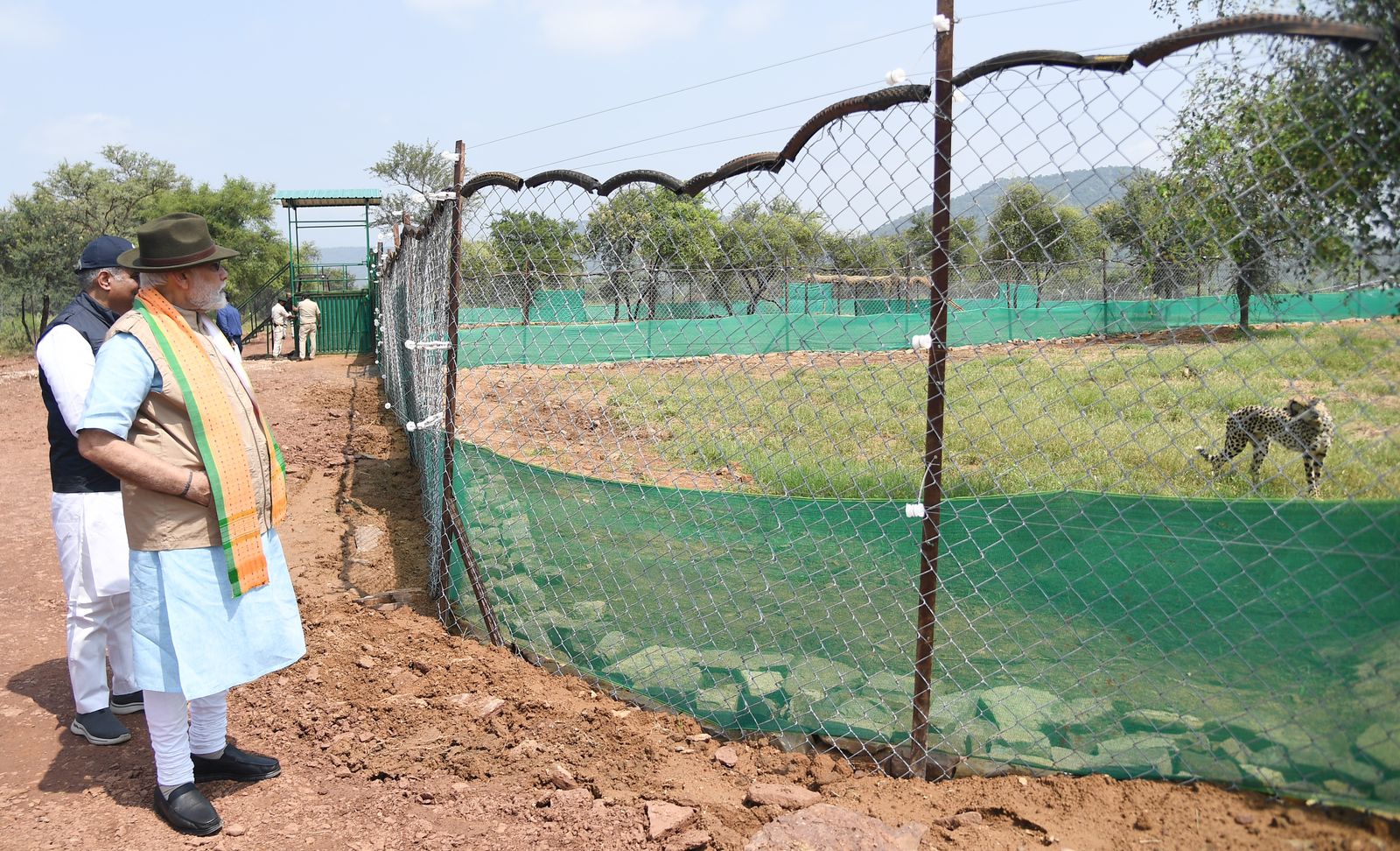 What is Project Cheetah? [Fully Explained]