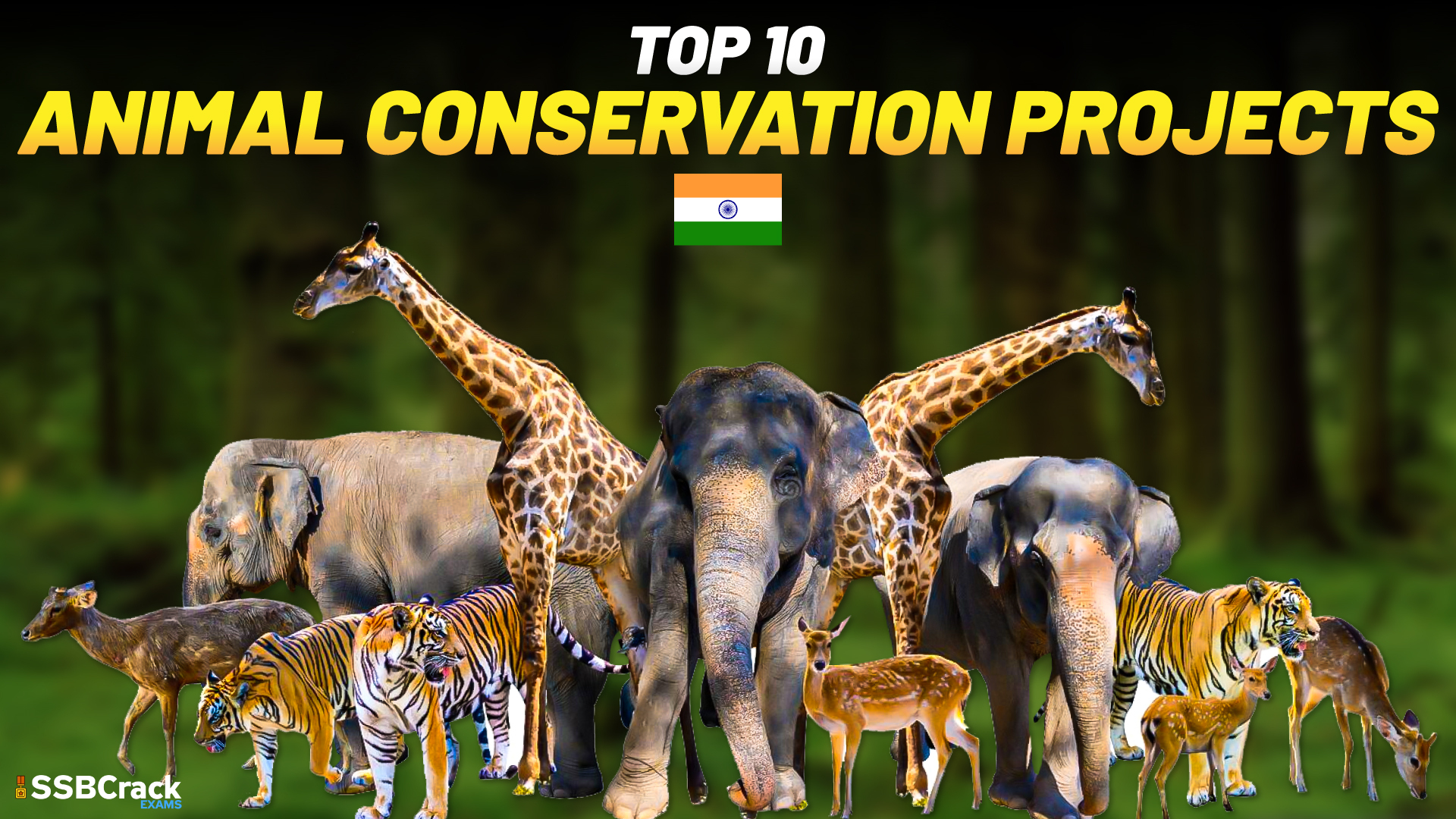 Top 10 Animal Conservation Projects In India MUST WATCH 