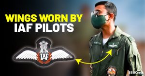 Various Wings Worn By IAF Pilots [Complete List]