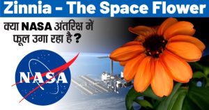 Zinnai - Space Flower Grown On International Space Station By NASA ...