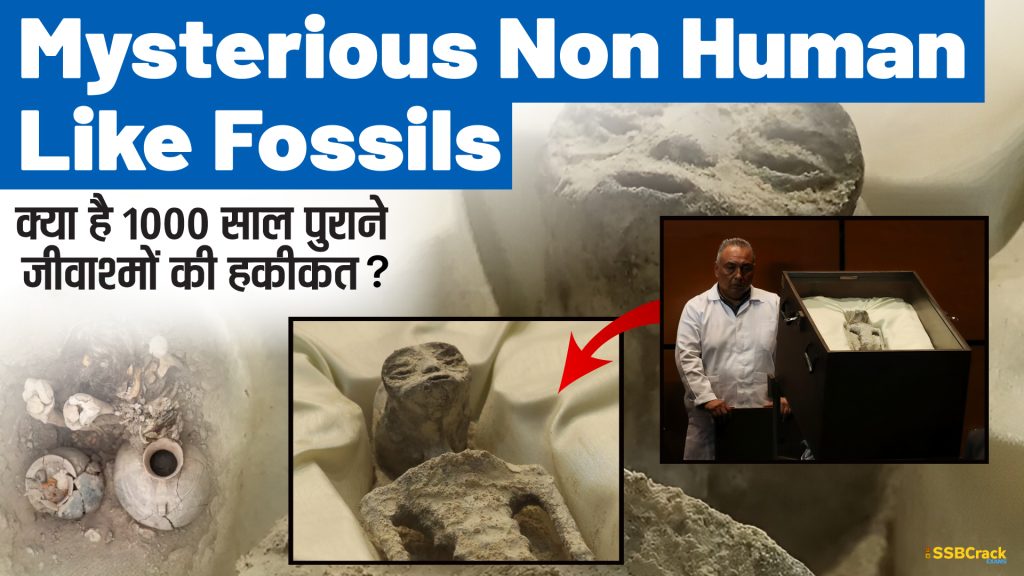 Mysterious Non Human Like Fossils Displayed In Mexico