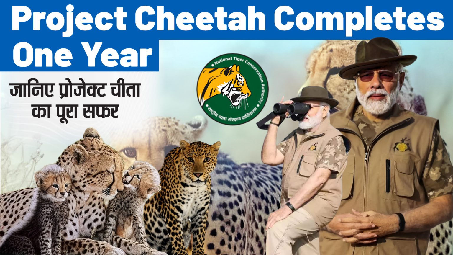 Project Cheetah Completes 1 Year: Everything You Need To Know