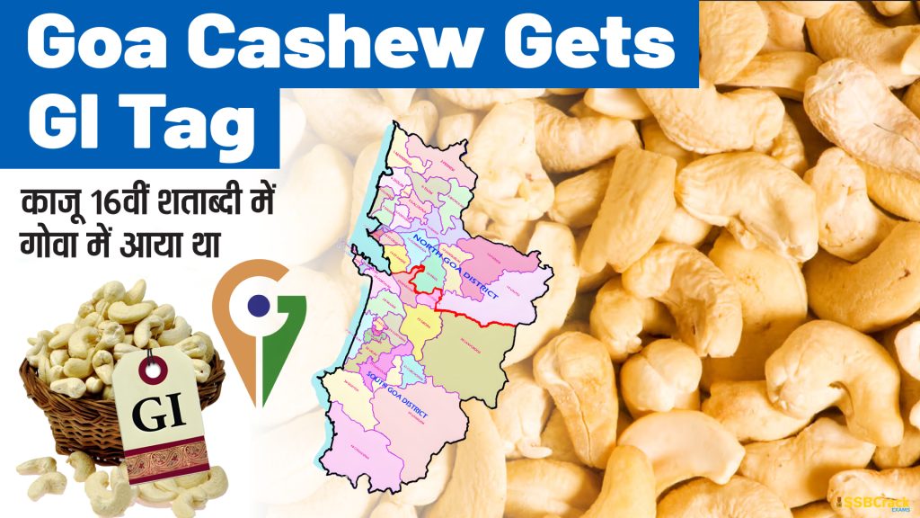 Goa Cashew Gets Geographical Indication (GI) Tag