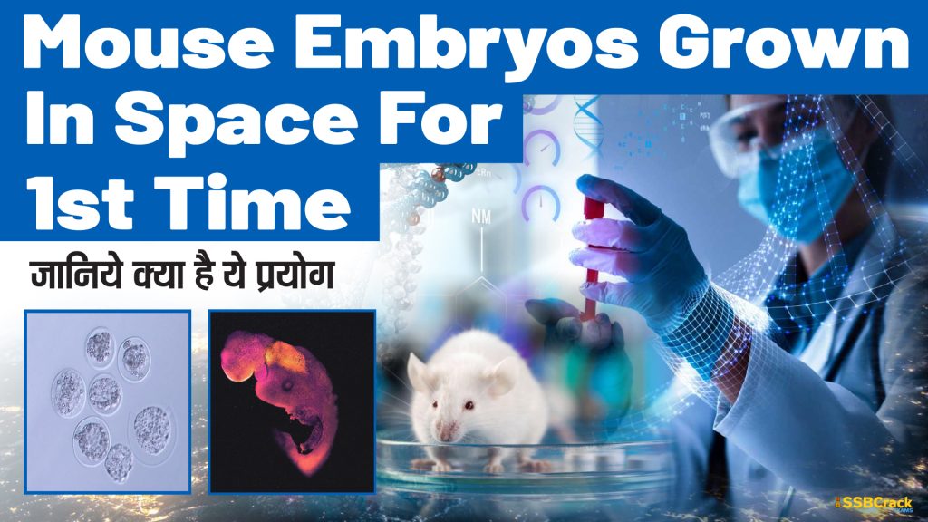 Mouse Embryos Grown In Space For First Time