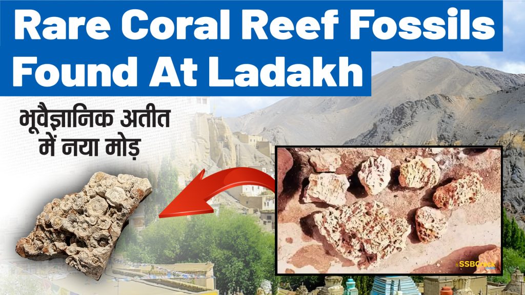 Rare Coral Reef Fossils Found At 18K Feet In Ladakh