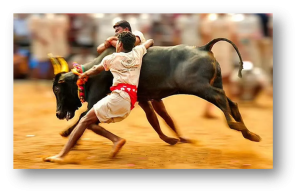 Jallikattu Claims Three Lives, Including Minor Spectator Why This ...