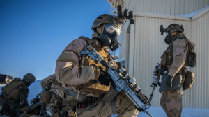 Top 20 Elite US Military Special Forces and Their Roles