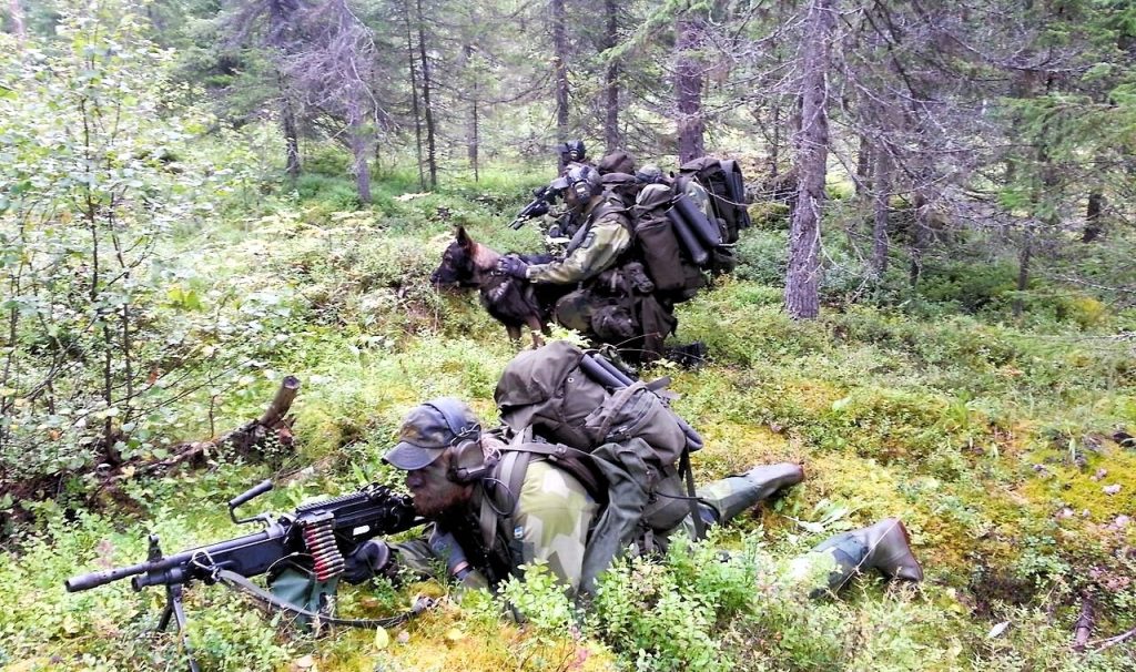 What is Camouflage and Why Soldiers use it?