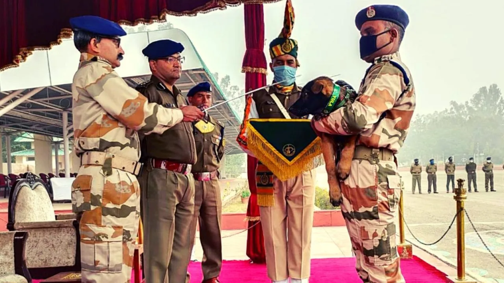 ITBP Veterinary Staff Syllabus 2024