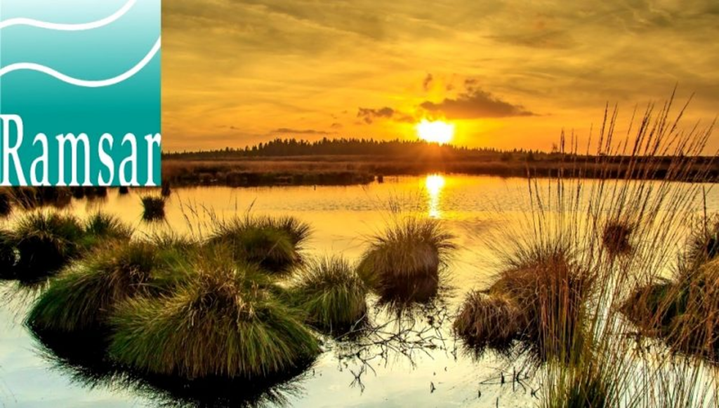 Ramsar Sites In India