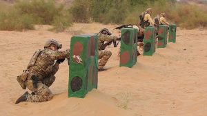 All About PARA SF: Full Form and Key Facts