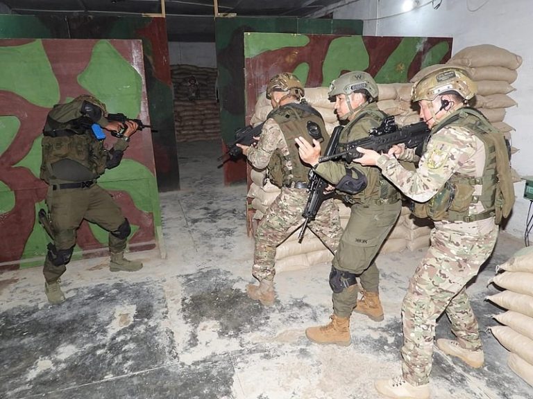 All About PARA SF: Full Form and Key Facts