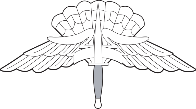 Top 16 Badges of a Para SF Commando