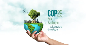 COP 29 Climate Summit In Azerbaijan | What's On The Agenda