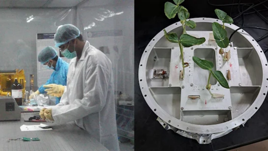 Life Sprouts In Space | ISRO’s Cowpea Seeds Sprout Leaves